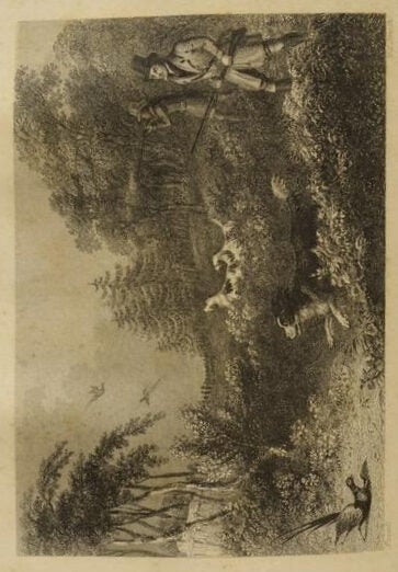 The Ladies' Companion, and Monthly Magazine. Vols. XIV and XV - Second ...
